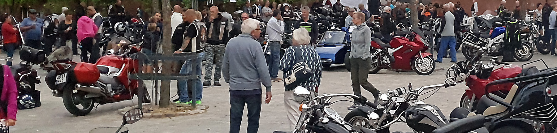 Forside - Ringsted City